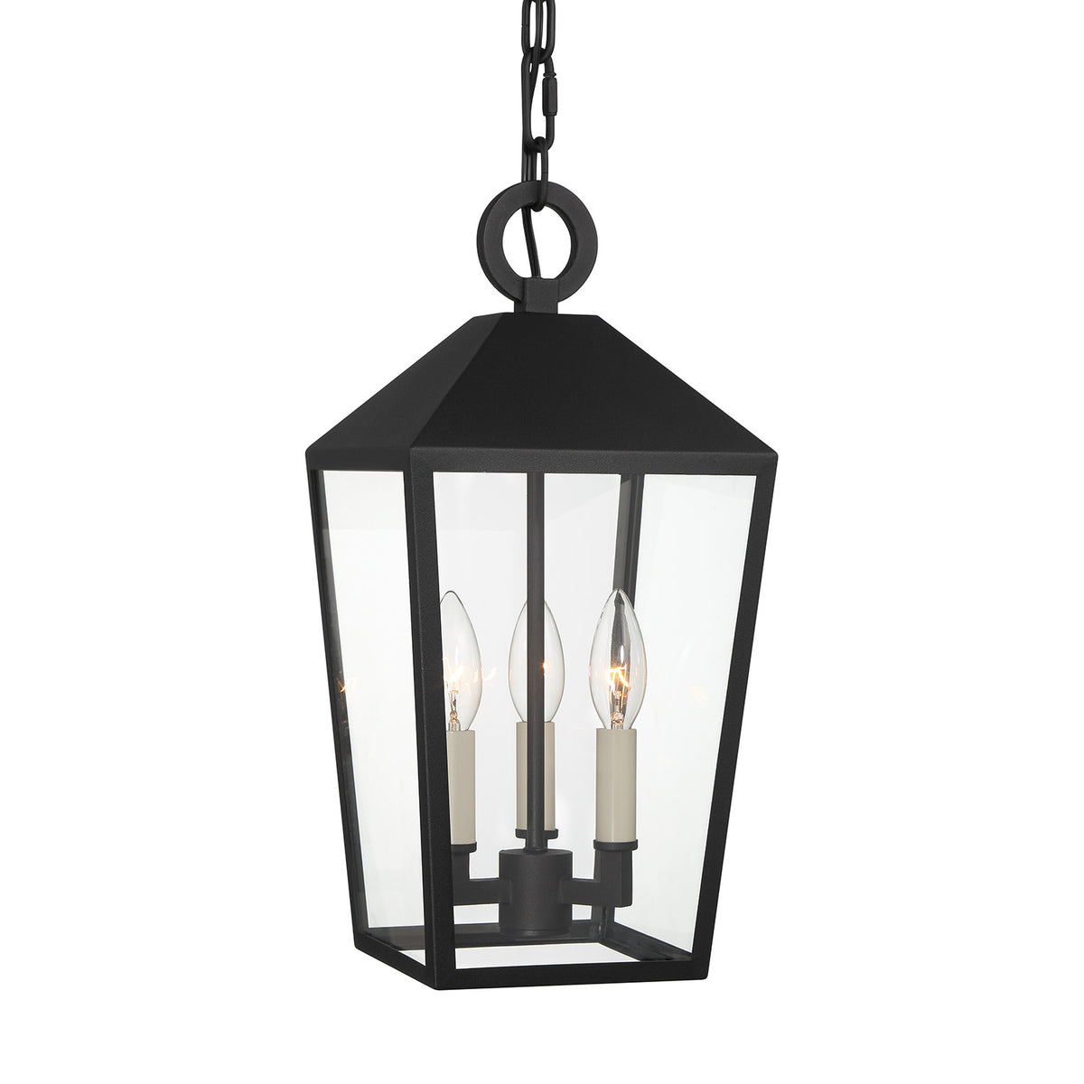 Cole Outdoor Lantern Hanging Pendant Light with Glass Panels, Matte ...